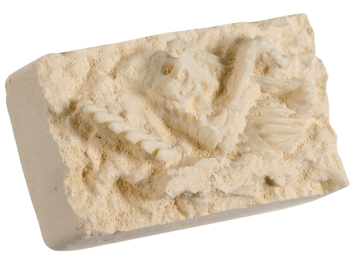 Toysmith Mini Dino Excavation Kit — Pippd